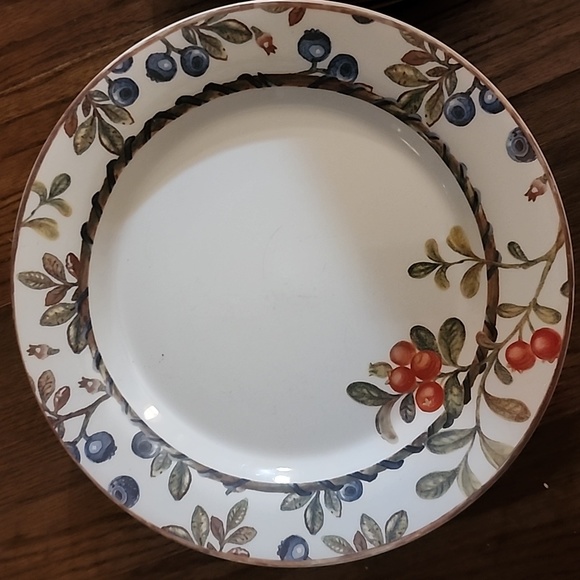 Dining | 5 Dinner 5 Salad Plates 3 Bowls Are Free Bold Vivid Colors No ...